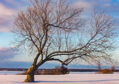 Village of Sackets Harbor, NY Tourism Website